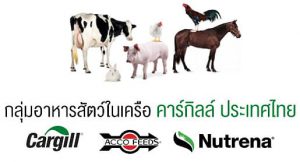cargillfeeds.com – อาหารสัตว์ cargill thailand