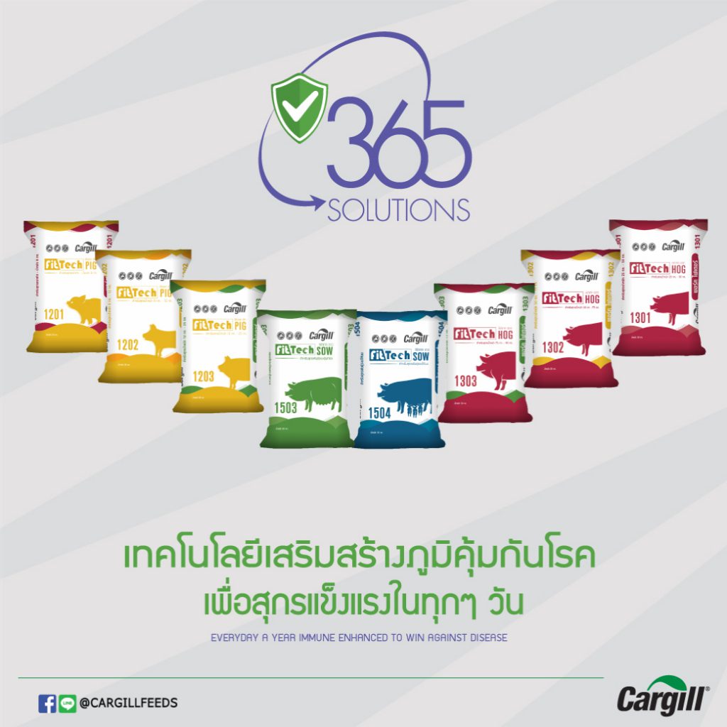 “365 solutions” เทคโนโลยีเสริมสร้างภูมิคุ้มกันโรค เพื่อให้สุกรแข็งแรงในทุกๆ วัน – cargillfeeds.com