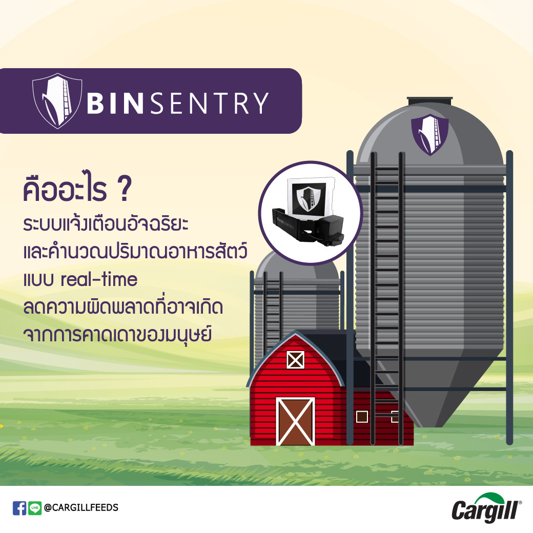 สั่งอาหารสัตว์เกิน คำนวณผิดพลาด ปัญหาที่หลายๆฟาร์มต้องเจอ – cargillfeeds.com